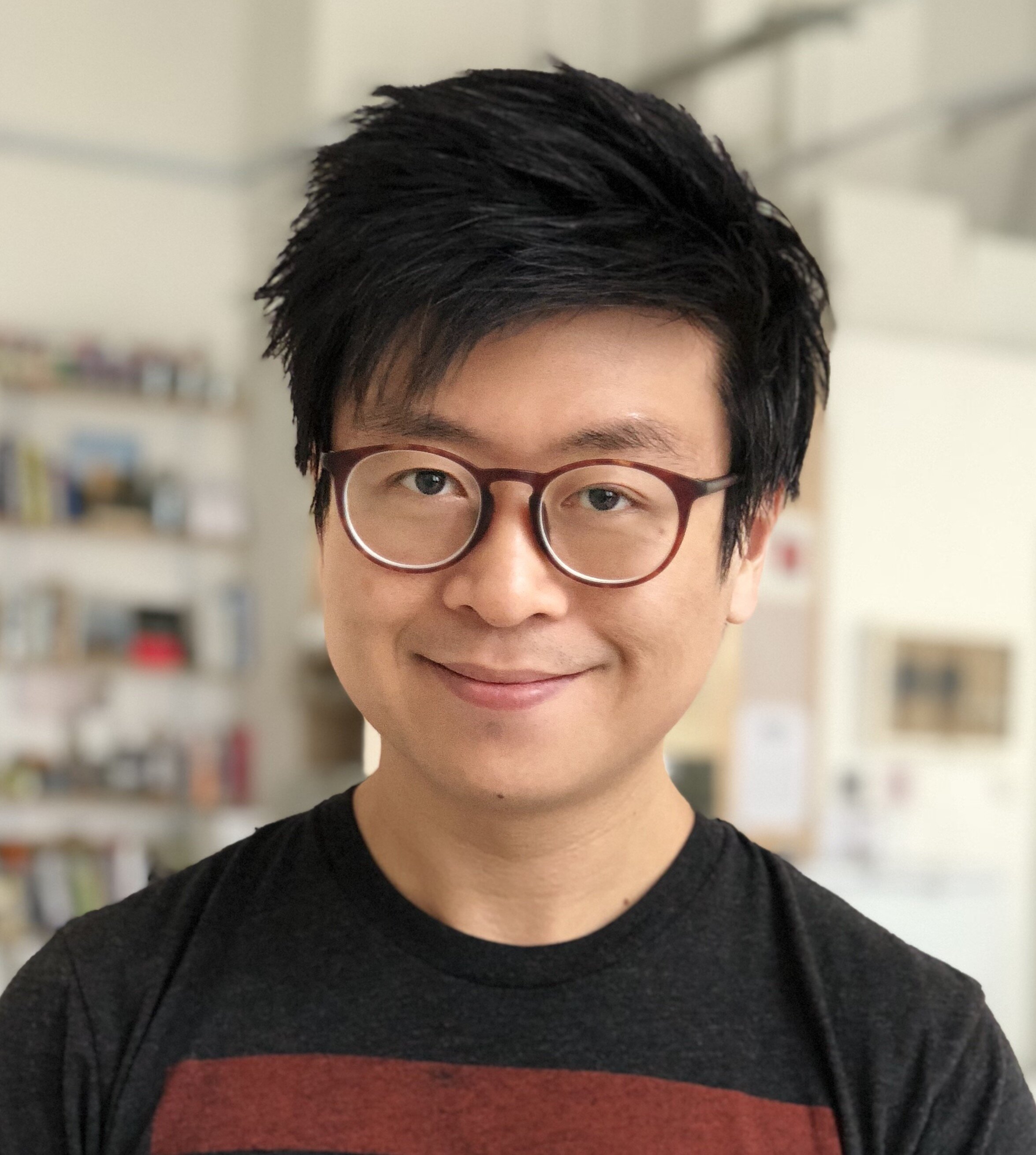 New Museum Home Page