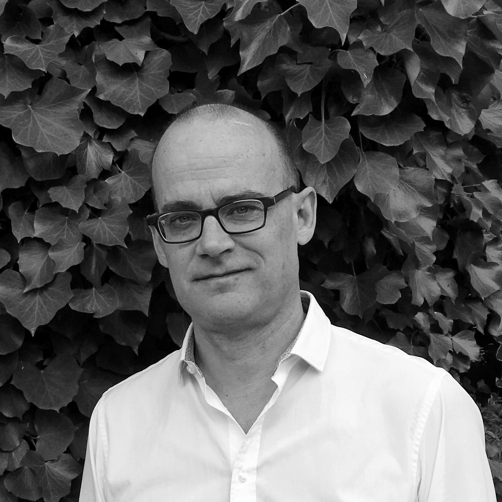 New Museum Home Page