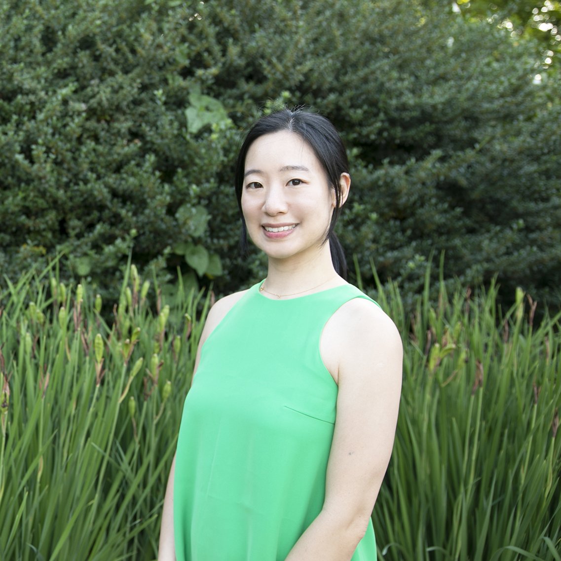 New Museum Home Page